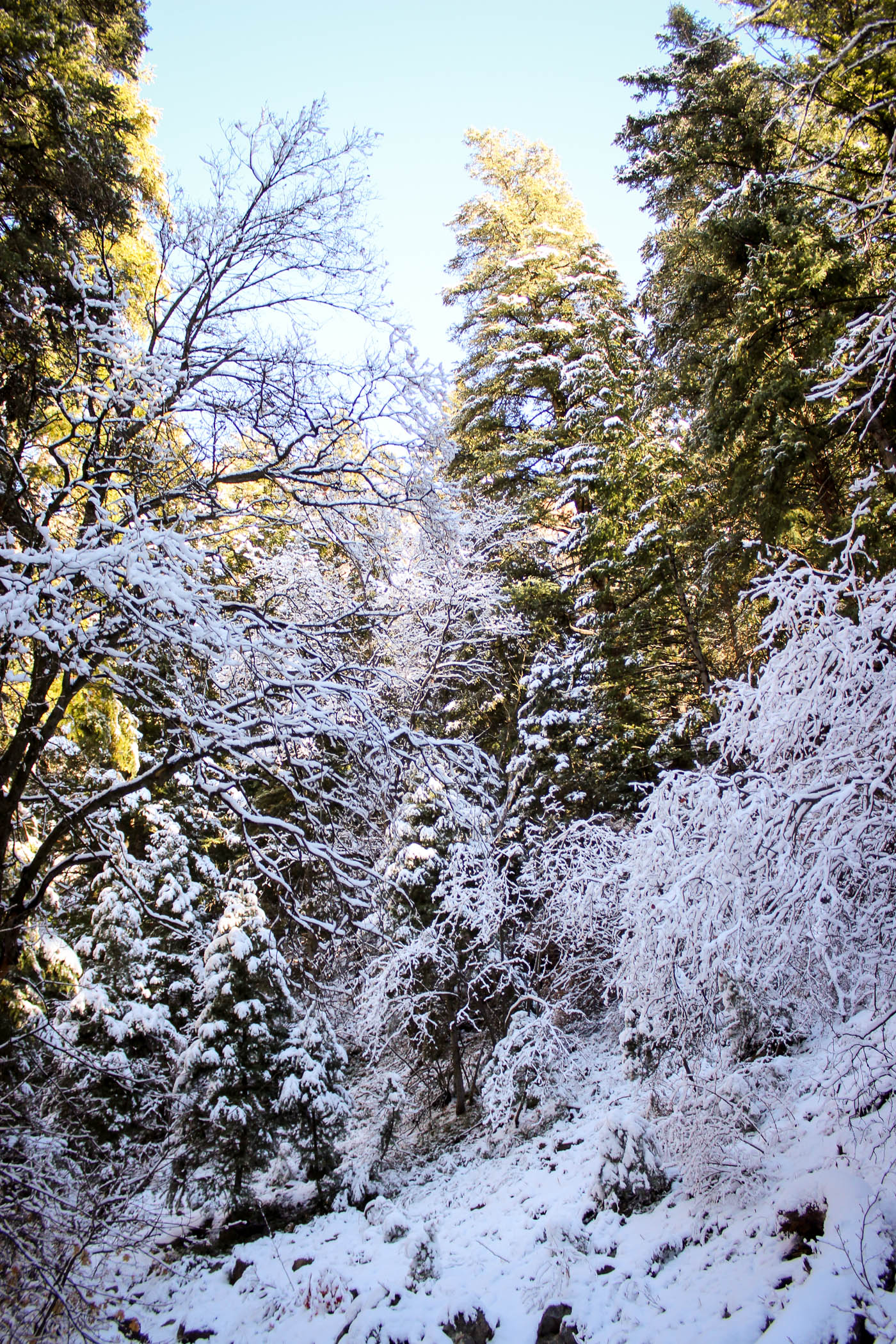 Thanksgiving in Utah – The Yooper Girl